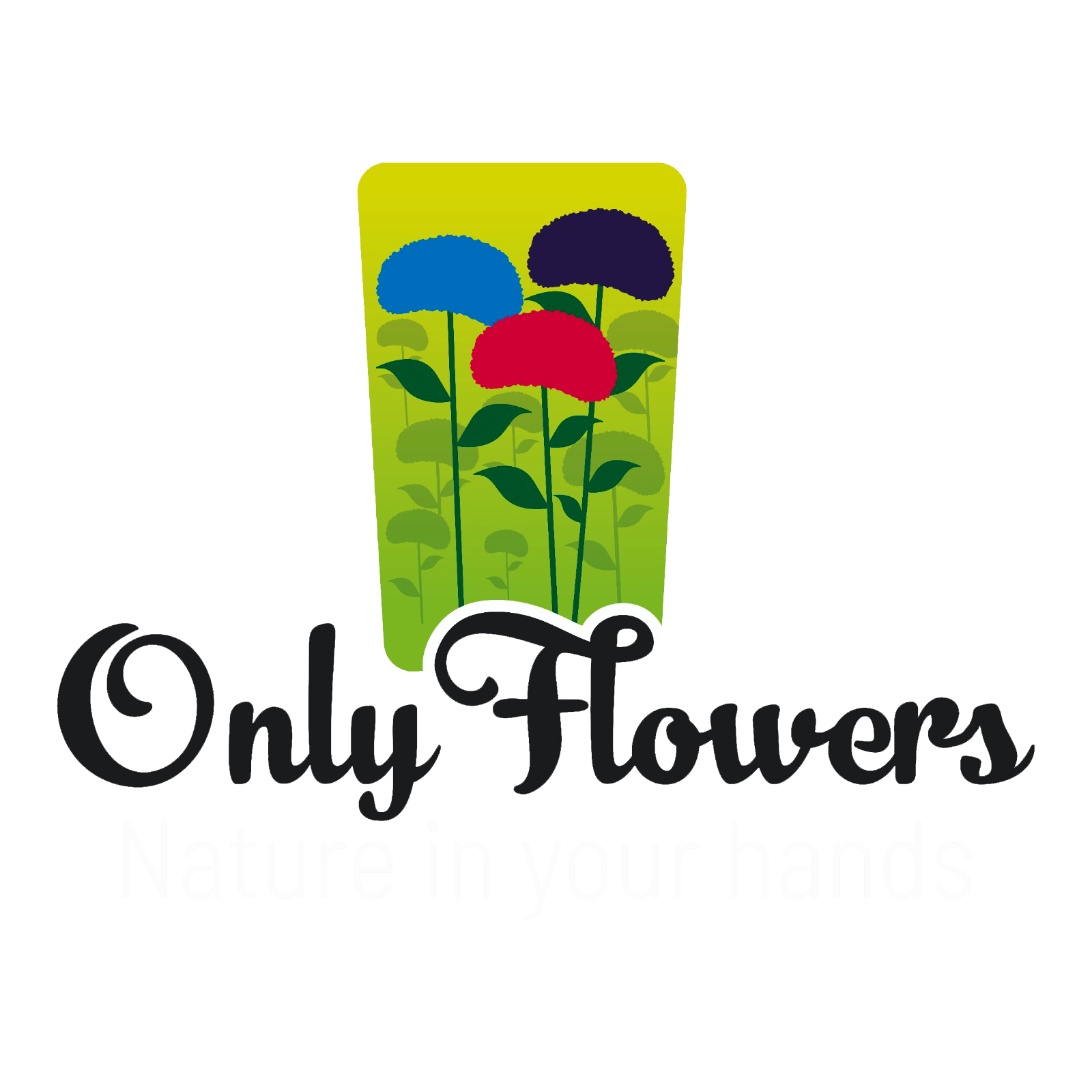 Only Flowers Catalogue - Products